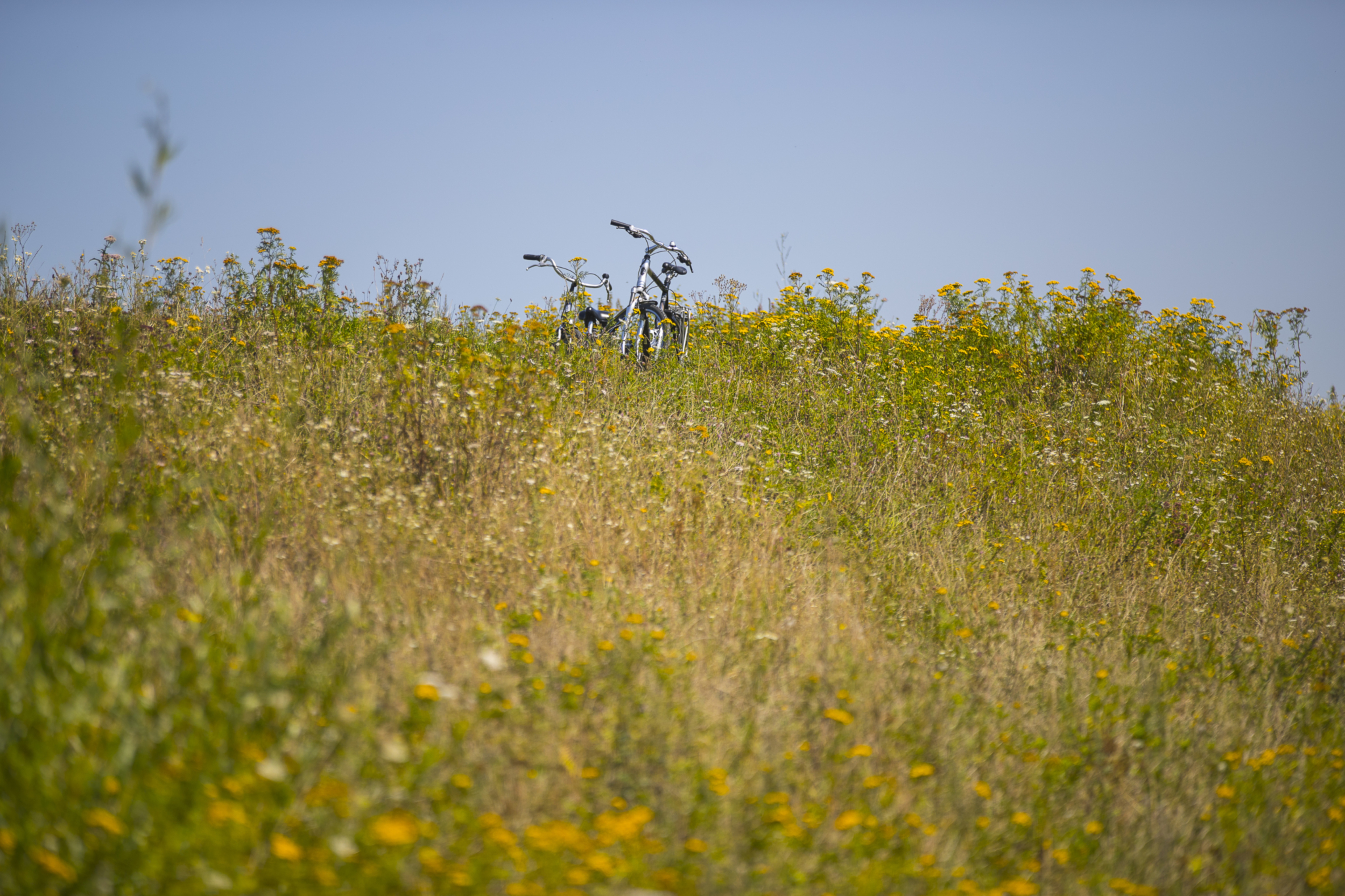Beaujean Vacances | Fiets de mooiste routes in Noord- en Midden-Limburg